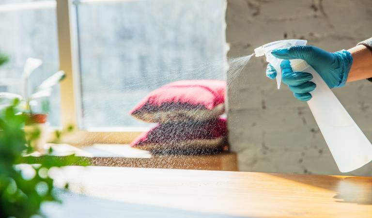 How To Remove Dust Mites In House Naturally? | Bond Cleaning in Brisbane